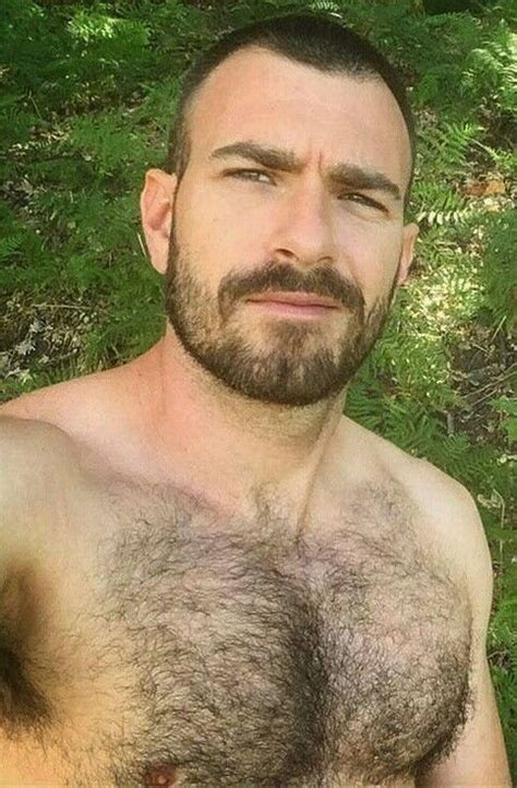 Bear With A Beard Men With Bears Bear Mustache Hairy Chested Men