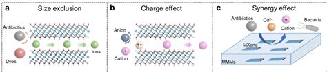 MXene‐based Membranes for Drinking Water Production - Huang - 2023 - Angewandte Chemie ...