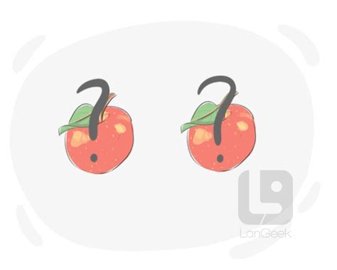 Definition And Meaning Of Either Picture Dictionary