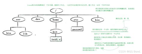 【linux探索学习】第一弹——linux的基本指令（上）——开启linux学习第一篇