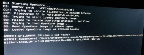 Problems With DEBUG And NOOP Versions Of OpenCore Efi On The N SV Laptop Issue