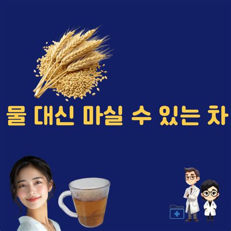 물대신 차 물 대신 마실 수 있는 차 음료 종류 효능 보리차 허브티 네이버 블로그
