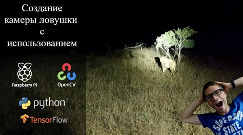 Создание камеры ловушки с использованием Raspberry Pi Python Opencv и