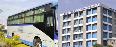 Nibs College Courses And Fees Structure 2021