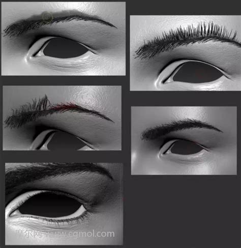 Maya如何制作超写实的美女模型 Autodesk Maya教程 Cg教程 摩尔网cgmol