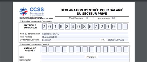 Rendering Issue With Pdf Viewer Ask The Community Appfarm Community