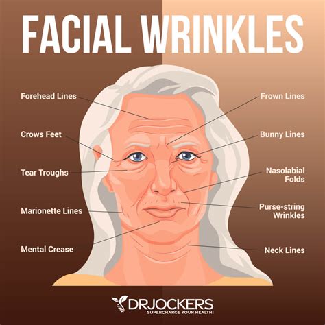 Facial Wrinkles Root Causes And Natural Support Strategies