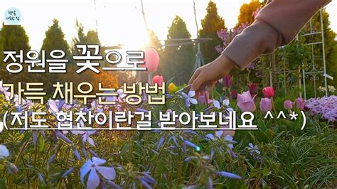 정원을 꽃으로 가득 채우는 방법처음으로 협찬 받았습니다정원가꾸기정원꾸미기 나무왕 에버그린농원목수국 Youtube