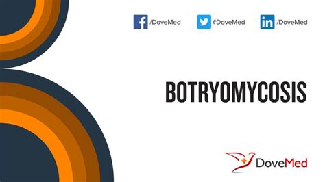 Botryomycosis