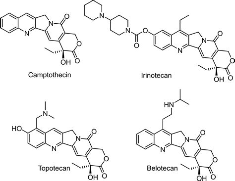 Recent Advances In The Asymmetric Total Synthesis Of Camptothecin
