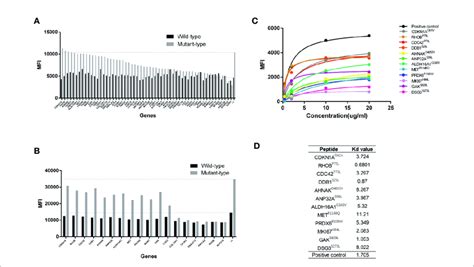 Determination Of Peptide Binding Affinity To Hla A2 A The Mean