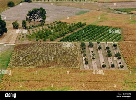 Various Crops Hi Res Stock Photography And Images Alamy