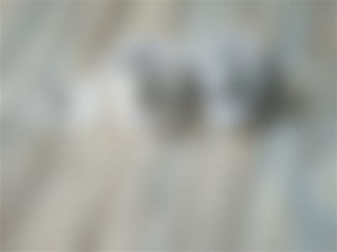 В наличии моксы МиниМаус Размеры от 0 до 18 мес Цена 250 руб 2025