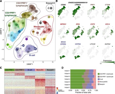 Human Peripheral Blood Mononuclear Cells Pbmc Scrna Seq Data 10x Genomics Bioz