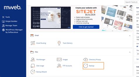 Cpanel Backups