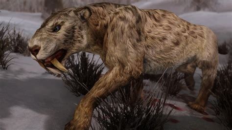 Smilodon My Optimized Textures Se At Skyrim Special Edition Nexus