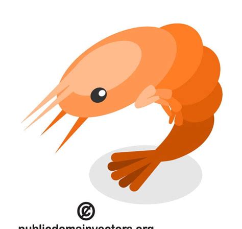 새우 벡터 이미지 Ai Eps Uidownload