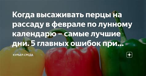 Когда высаживать перцы на рассаду в феврале по лунному календарю ...