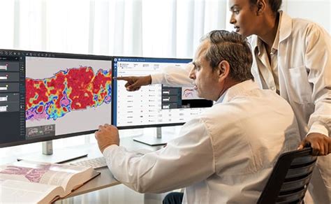 Dedalus And Ibex Dedalus Portugal