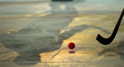 Хоккей с мячом обои - 33 фото