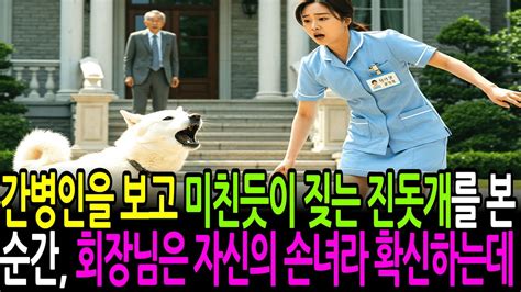 새로온 간병인을 보고 미친듯이 짖는 진돗개 백설을 본 순간 회장님은 잃어버린 자신의 친손녀라 확신하는데 Youtube