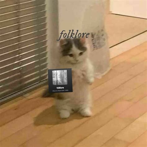 Swiftie Kitty 👁️👄👁️