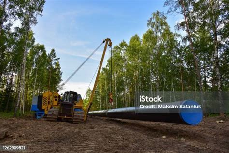 산림 지역에서 천연 가스 파이프 라인 건설 작업 지상가스 및 원유 파이프의 측면 붐 파이프 레이어 설치와 크롤러 크레인 0명에 대한 스톡 사진 및 기타 이미지 Istock