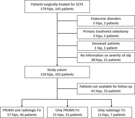 Tree Diagram Of Exclusion And Inclusion Of Patients Download