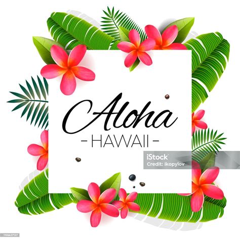 알로하 하와이 야자수 잎 이국적인 꽃에 대 한 단어 벡터 일러스트 0명에 대한 스톡 벡터 아트 및 기타 이미지 0명 꽃