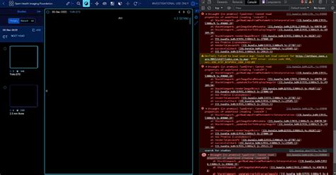 Blank Viewport With Errors While Using Orthanc Dicom Web General