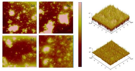 Tapping Mode Atomic Force Microscopy Afm Topography Image Of Theblend Download Scientific