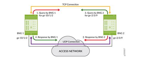 Mn Subscriber Redundancy On Bgp Junos Os Juniper Networks