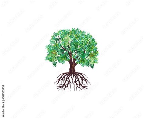 Tree And Roots Vector Tree Of Life Illustration With Colorful Stock