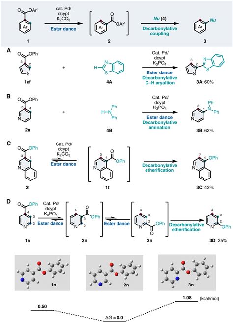 Ester Dance Reaction Followed By Decarbonylative Coupling A Ester