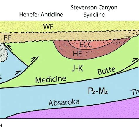 Schematic Cross Section Showing Key Structural Elements And Download Scientific Diagram