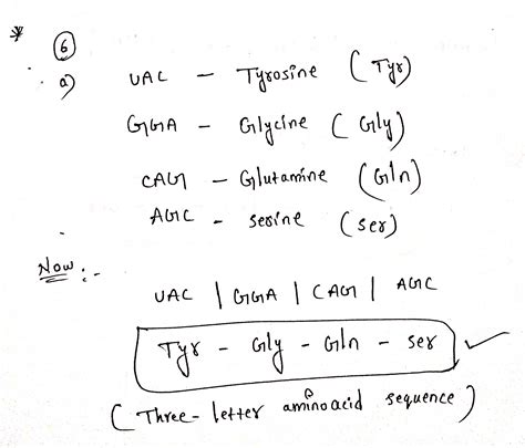 Solved 6 Using The Genetic Code Wheel Answer The Following