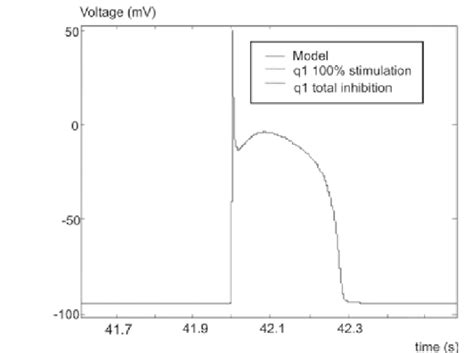 Effects V On Of Perturbation In Parameter Q 1 The Model Is Very