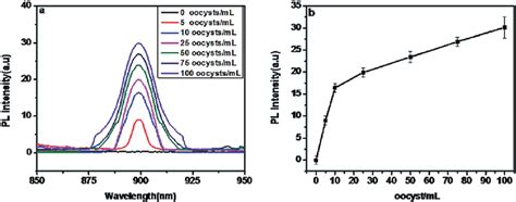 Pl Analysis Of Anti Oocysts Mcab Immobilized Nir Emitting Coreshell Ag Download Scientific