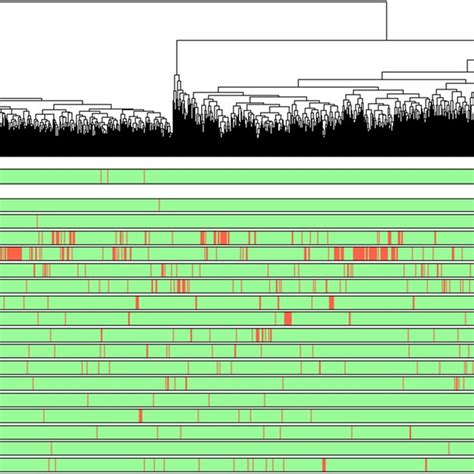 Hierarchical Clustering Of The Test Examples Predicted As Cancer Based