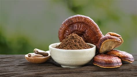 Lingzhi Mushrooms Health Benefits Uses And How To Choose For 2024