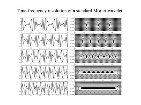 Ppt Understanding Neural Oscillations Wavelet Transformation