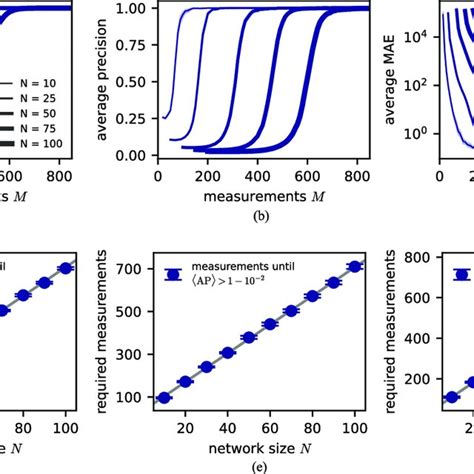 Scaling Of Topology Reconstruction For Various Network Sizes Measured