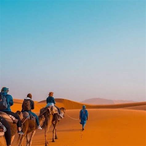 يحيى الزهراني Youtube