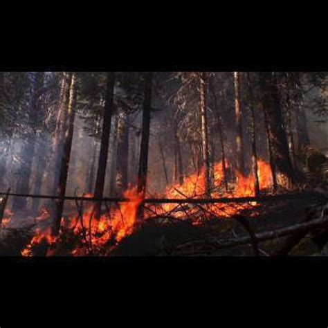 Fire Smoker Object Detection Model By Posco Ai Big Data Academy