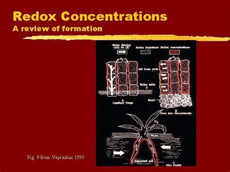 Redoximorphic Features Redoximorphic Features For Identifying Aquic Conditions