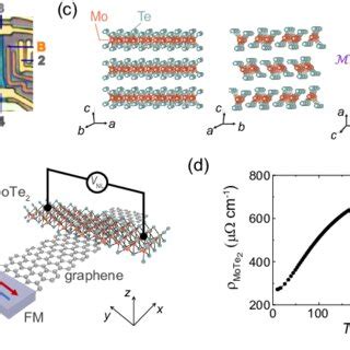 a Optical microscope image scale bar represents 1 µm and b sketch Download Scientific