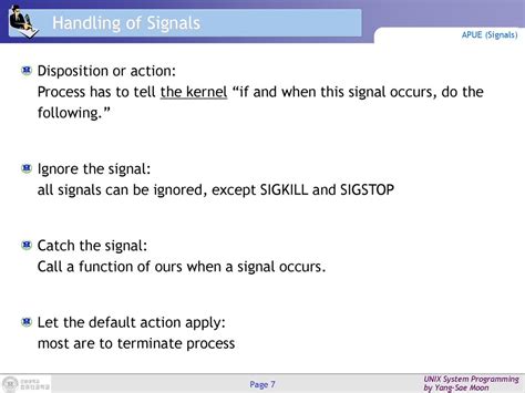 Linuxunix Programming Ppt Download