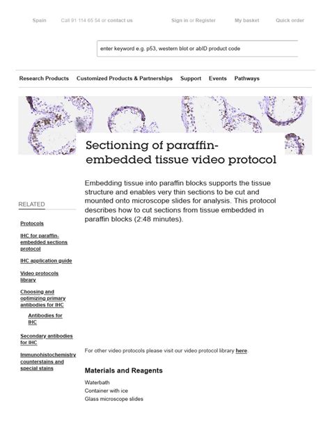 Sectioning Of Paraffin Embedded Tissue Protocol Abcam Pdf
