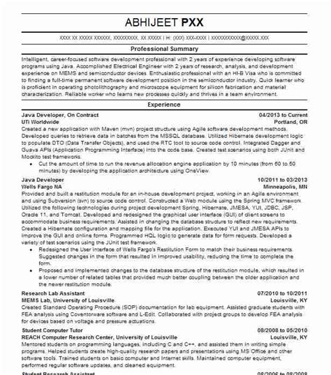 Senior Java Developer Contract Resume Example