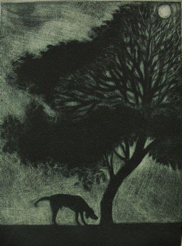 Melbourne Based Artist Robyn Rayner Midnight 1120 275 Moose Art